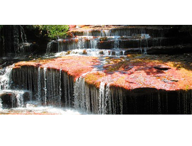 Meta - Colombia Visible