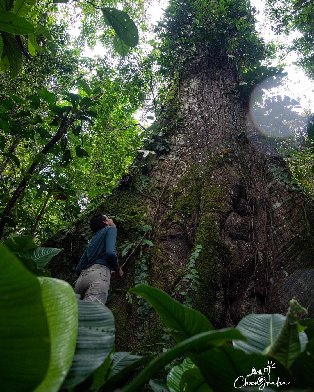 Así es el departamento de Chocó retratado por sus habitantes - Colombia ...