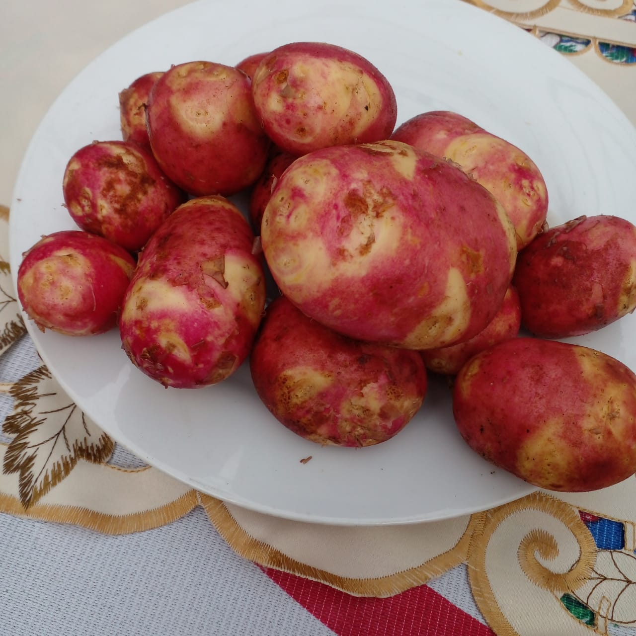 ¿Cuántos tipos de papa ha probado? En Boyacá hay 18 variedades ...