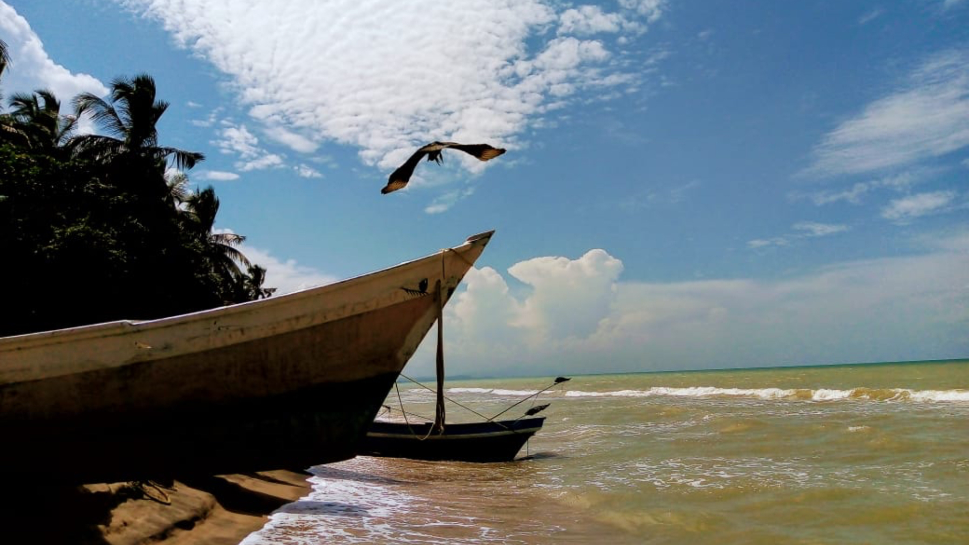 En Dibulla, los pescadores se convirtieron también en guías turísticos ...