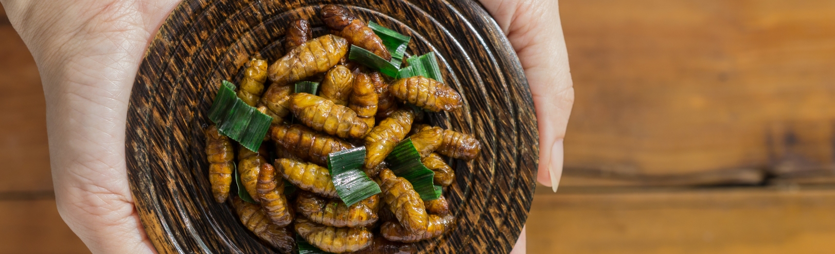 ¿Ha probado estos tres insectos típicos de la gastronomía colombiana ...