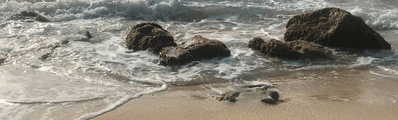 Así se cuida el mar, a partir del reciclaje de tapabocas - Colombia Visible