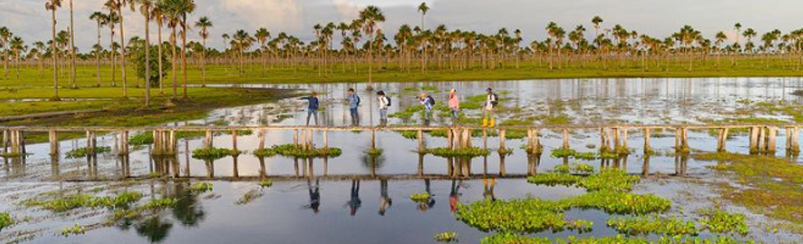 Cinco planes de ecoturismo en Yopal - Colombia Visible