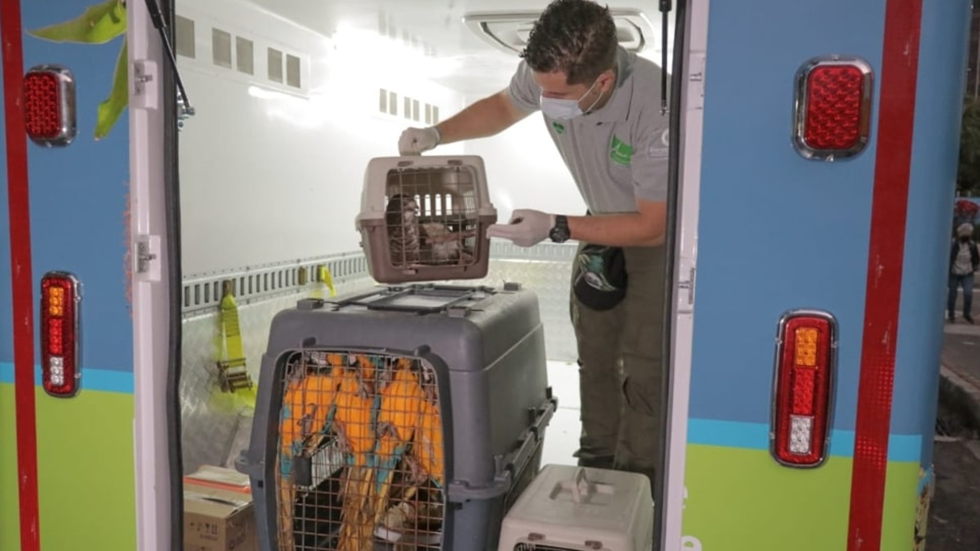 Así es el día a día de los rescatistas de animales del Valle de Aburrá ...