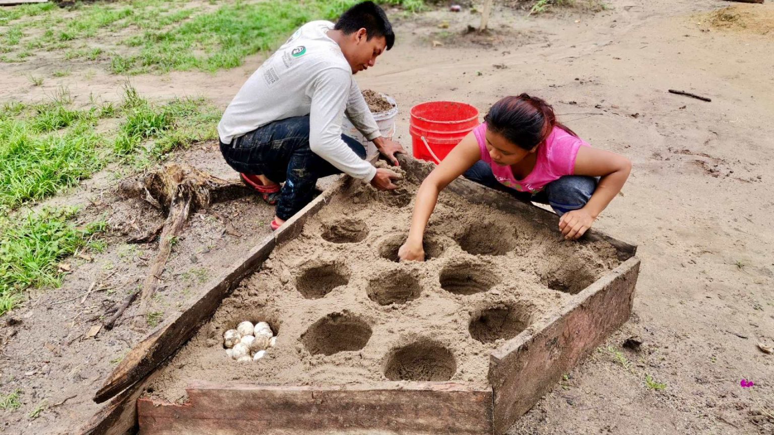 Los 12 proyectos ambientales más destacados de Colombia Visible en 2022 ...