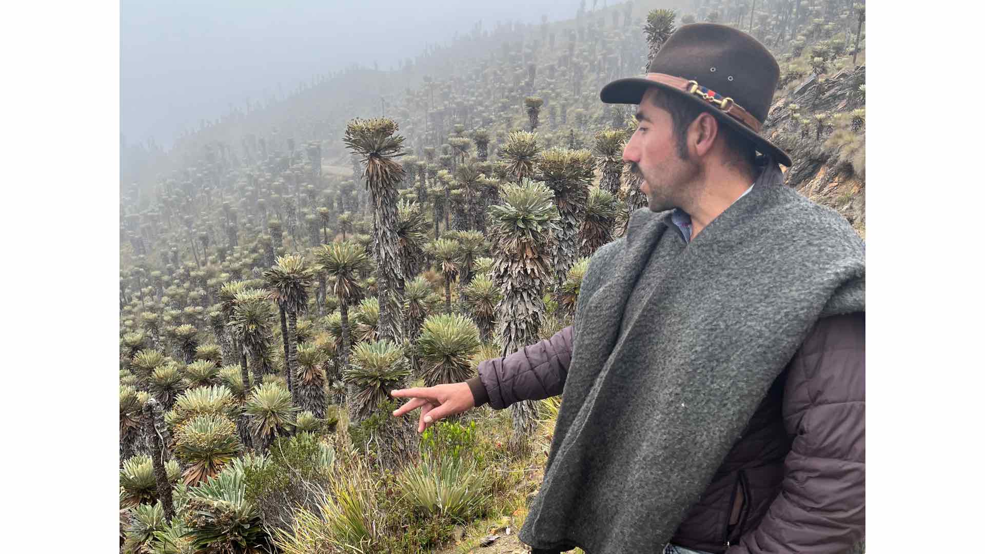 Así se organizaron los campesinos de El Cocuy para conservar su ...