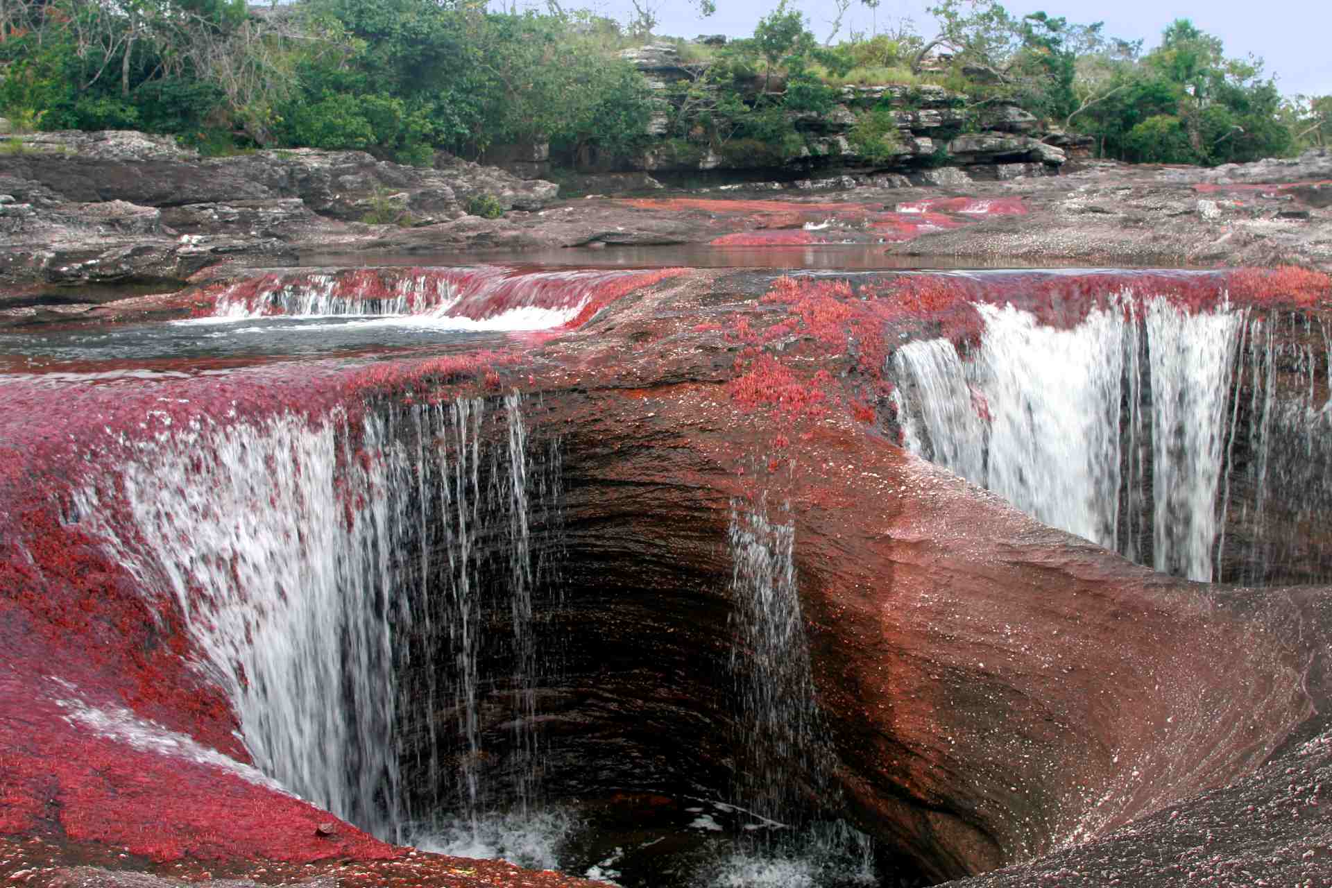 Galería: descubra los Llanos Orientales a través de estos siete ...
