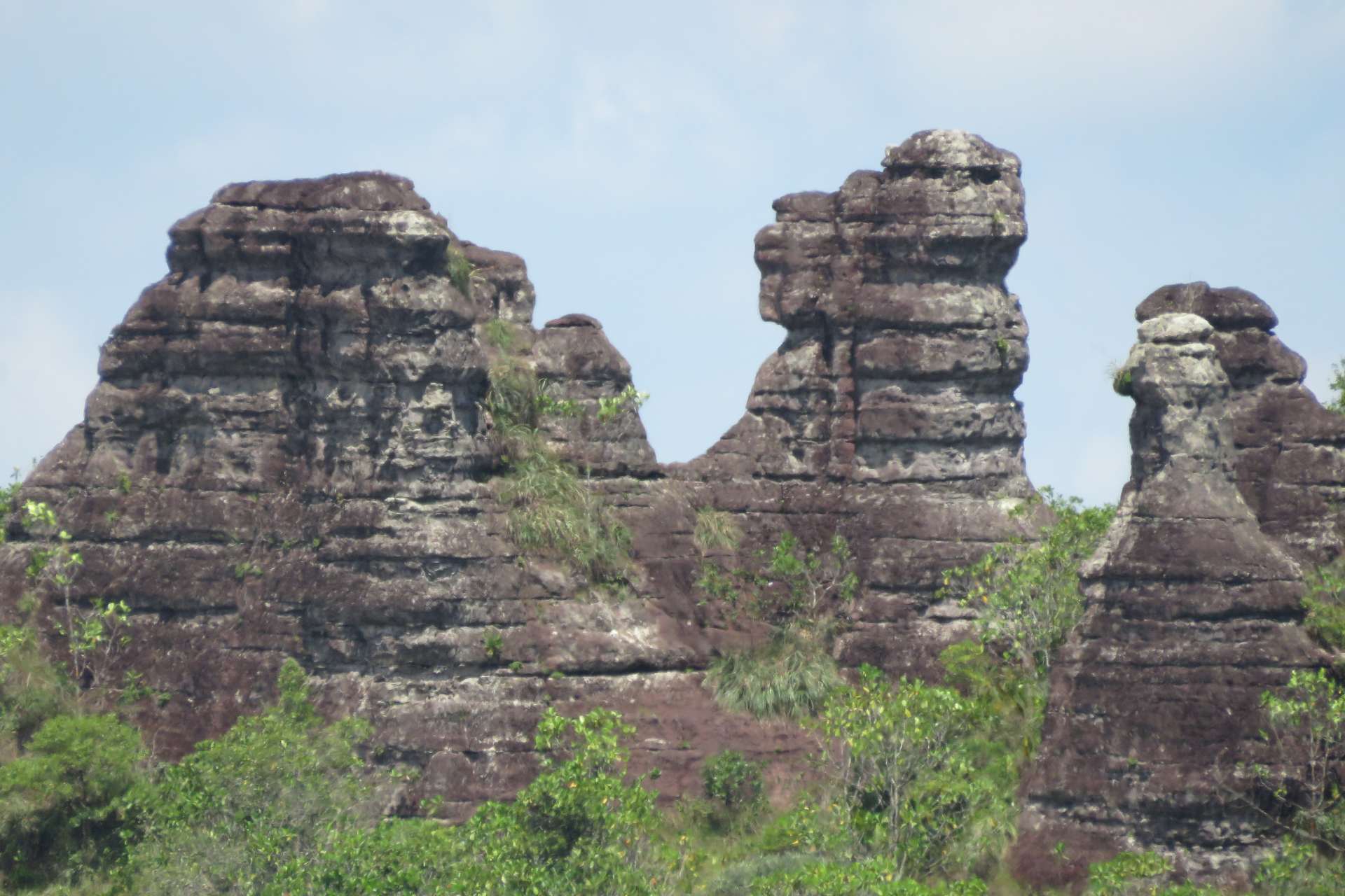 El endemismo: la búsqueda permanente de especies nuevas, y únicas, en ...