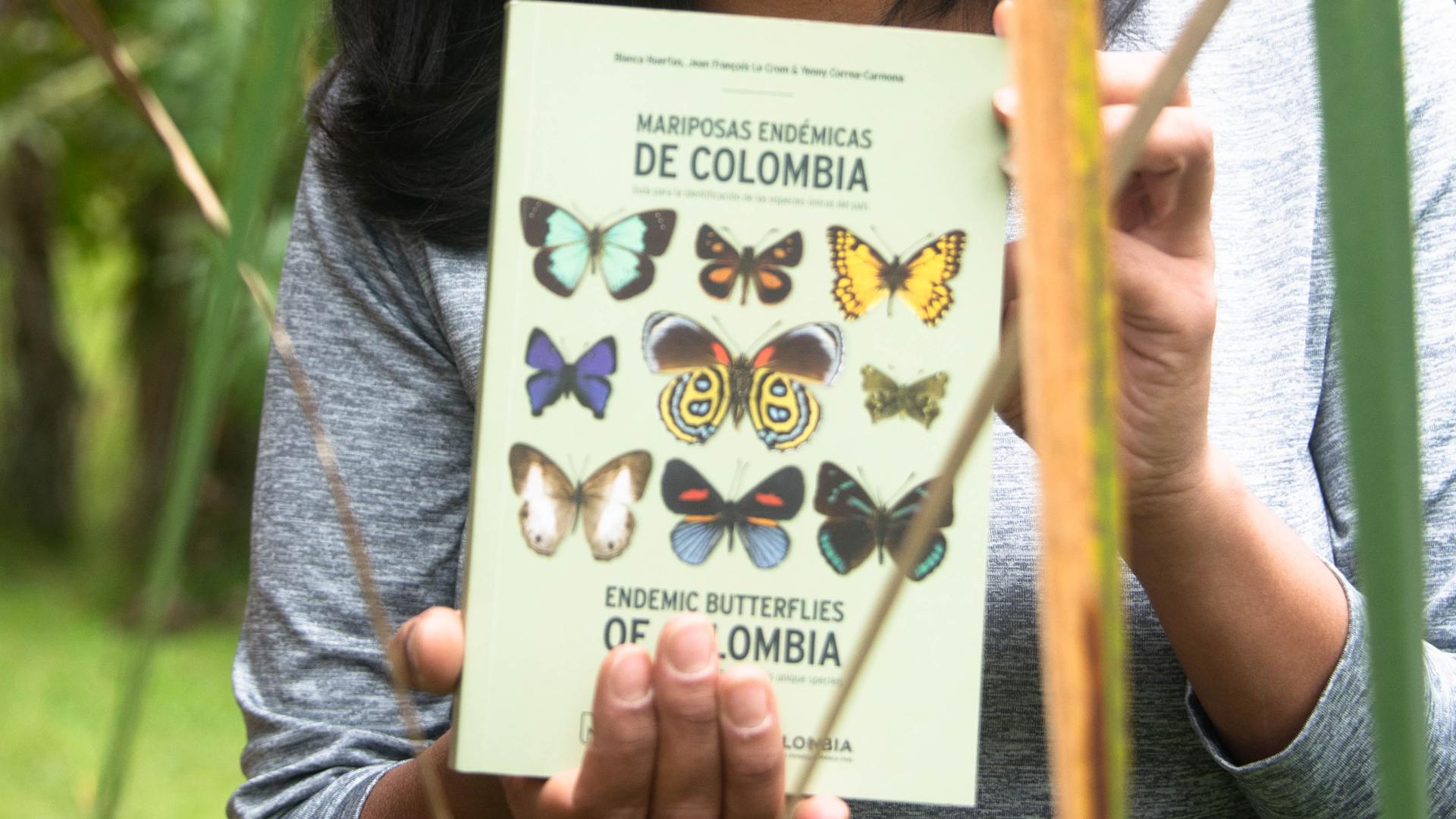 La curadora senior de mariposas del Museo de Historia Natural de ...