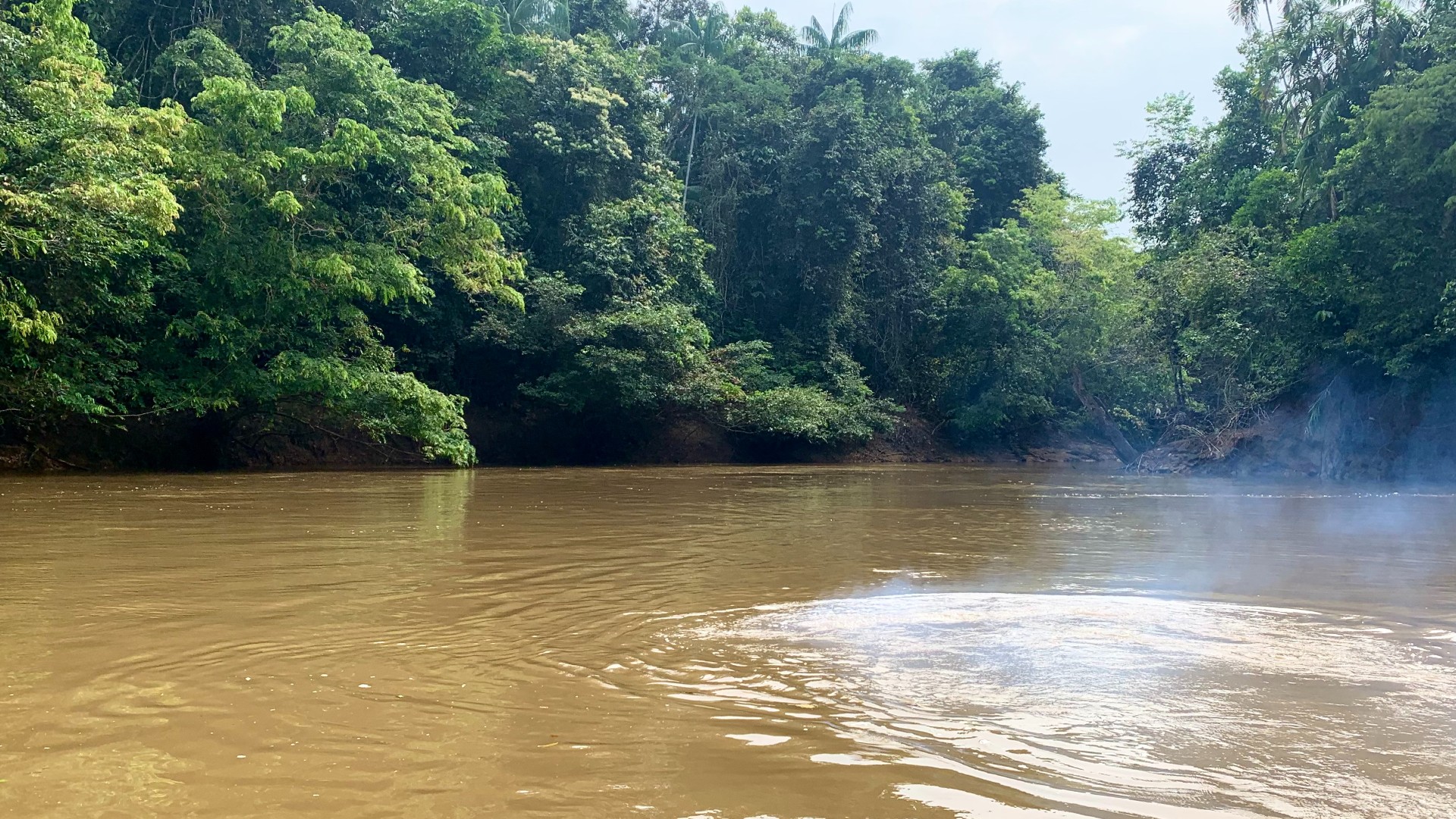 Detrás del ‘sueño Guaviarense’: la historia de uno de los primeros campesinos en llegar a El ...