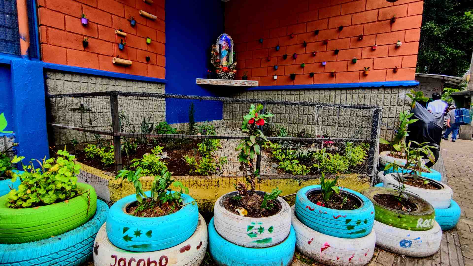 Los 12 proyectos ambientales más destacados de Colombia Visible en 2022 ...