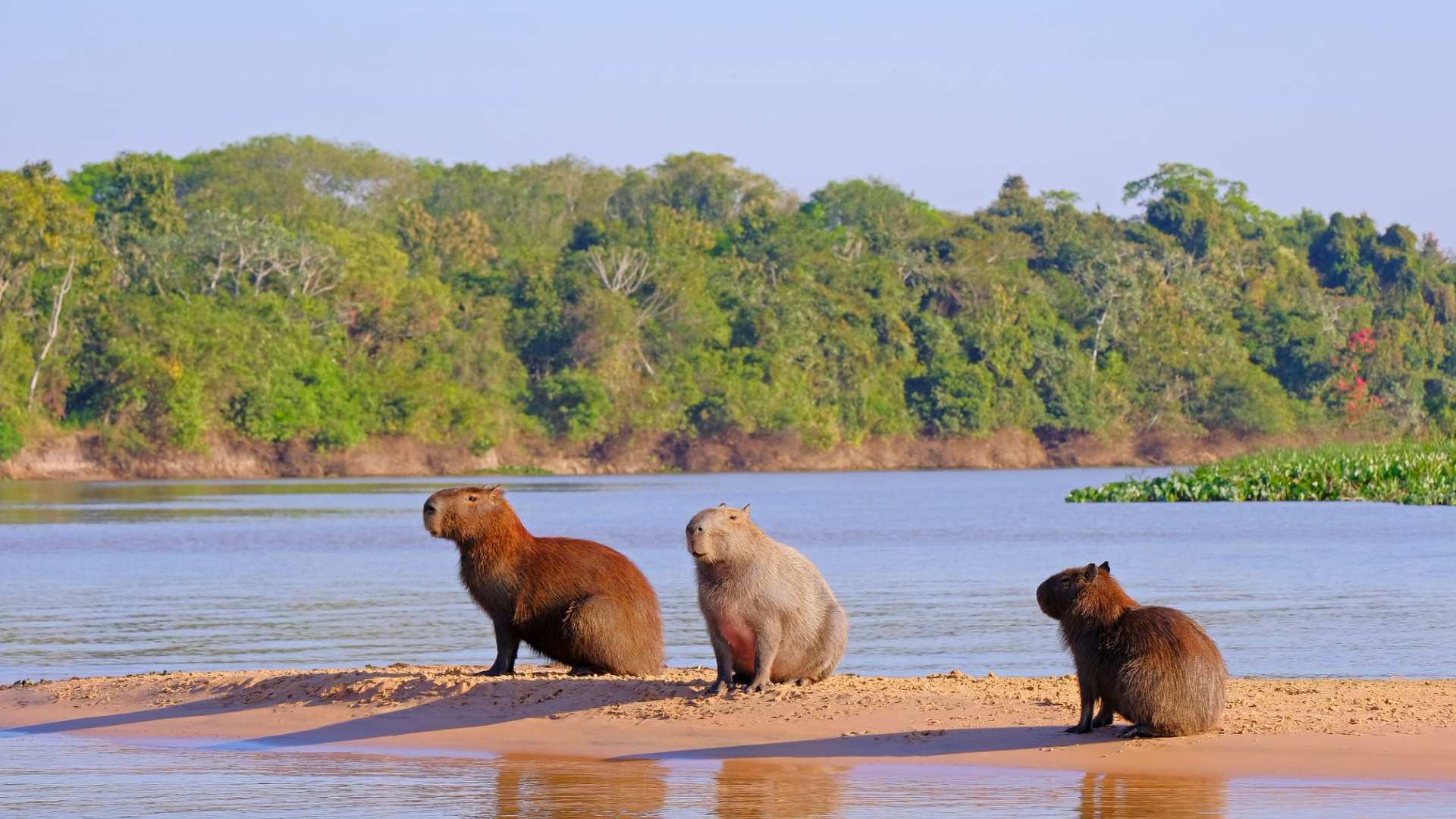 Galería: 14 destinos para que descubra la riqueza natural de Colombia ...