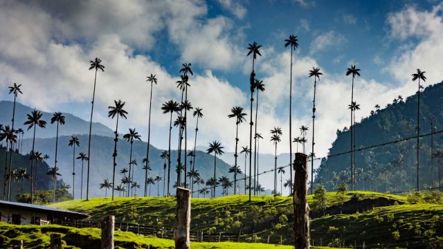 Galería: 14 destinos para que descubra la riqueza natural de Colombia ...