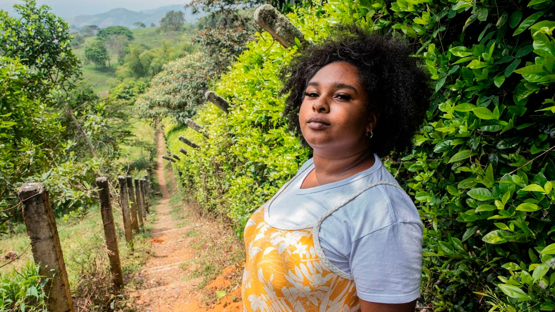 Un manifiesto para la paz en los territorios - Colombia Visible