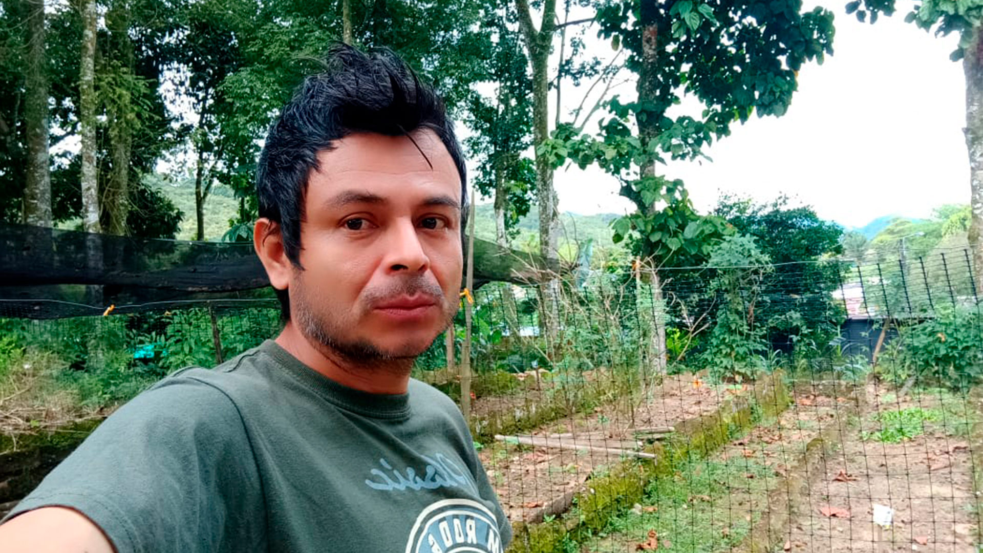 Un manifiesto para la paz en los territorios - Colombia Visible