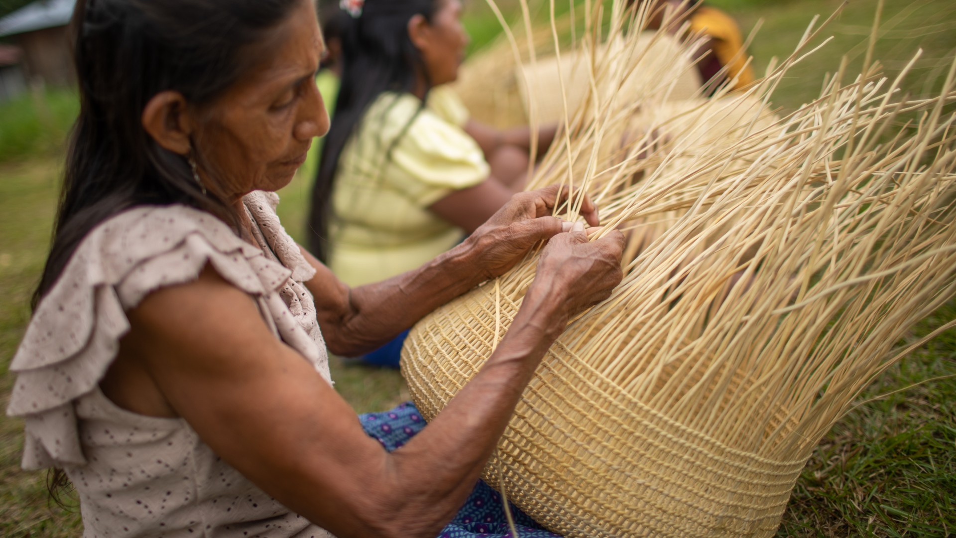 Artesanías para la conservación: la apuesta de los indígenas cubeo para ...