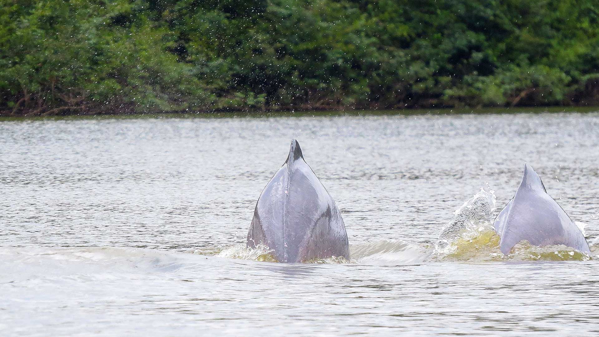 En el Guaviare, los jóvenes le apuestan al turismo para transformar el territorio - Colombia Visible