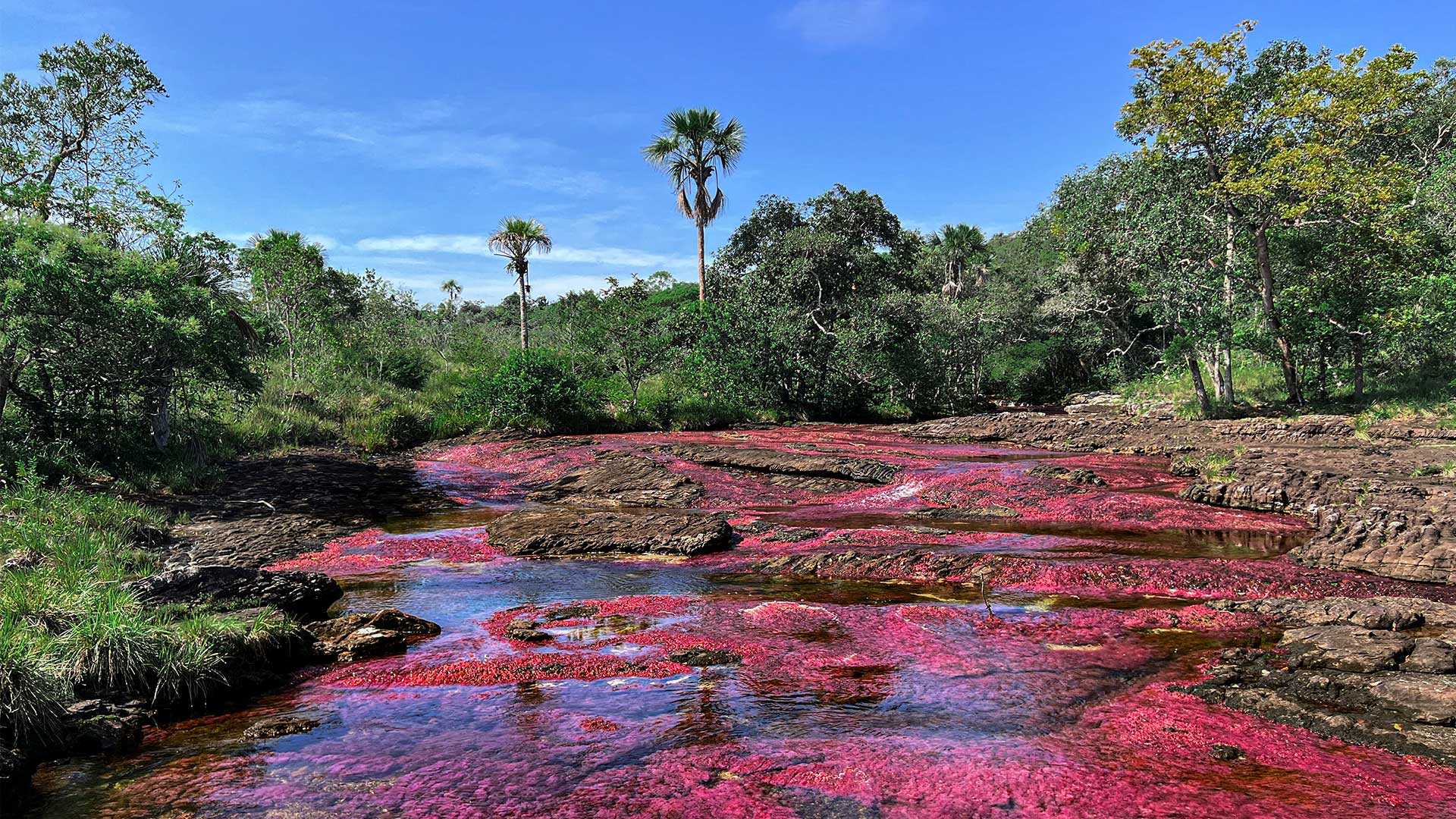 En el Guaviare, los jóvenes le apuestan al turismo para transformar el territorio - Colombia Visible