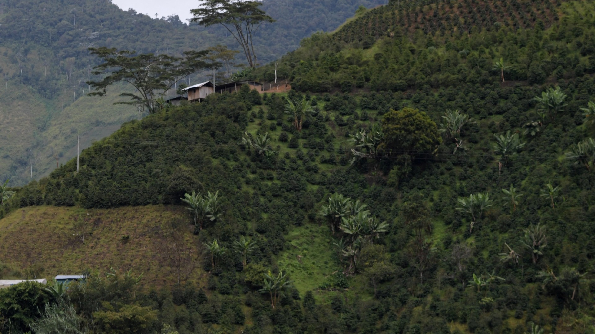 12 destinos emergentes para conocer en Colombia en 2025 - Colombia Visible