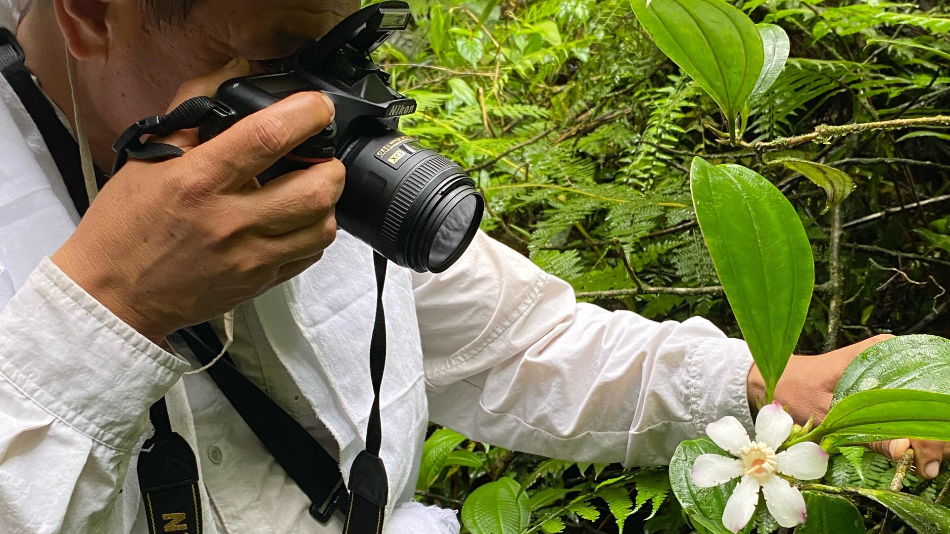 Este herbario bogotano ha descubierto 14 especies de flora endémica en ...