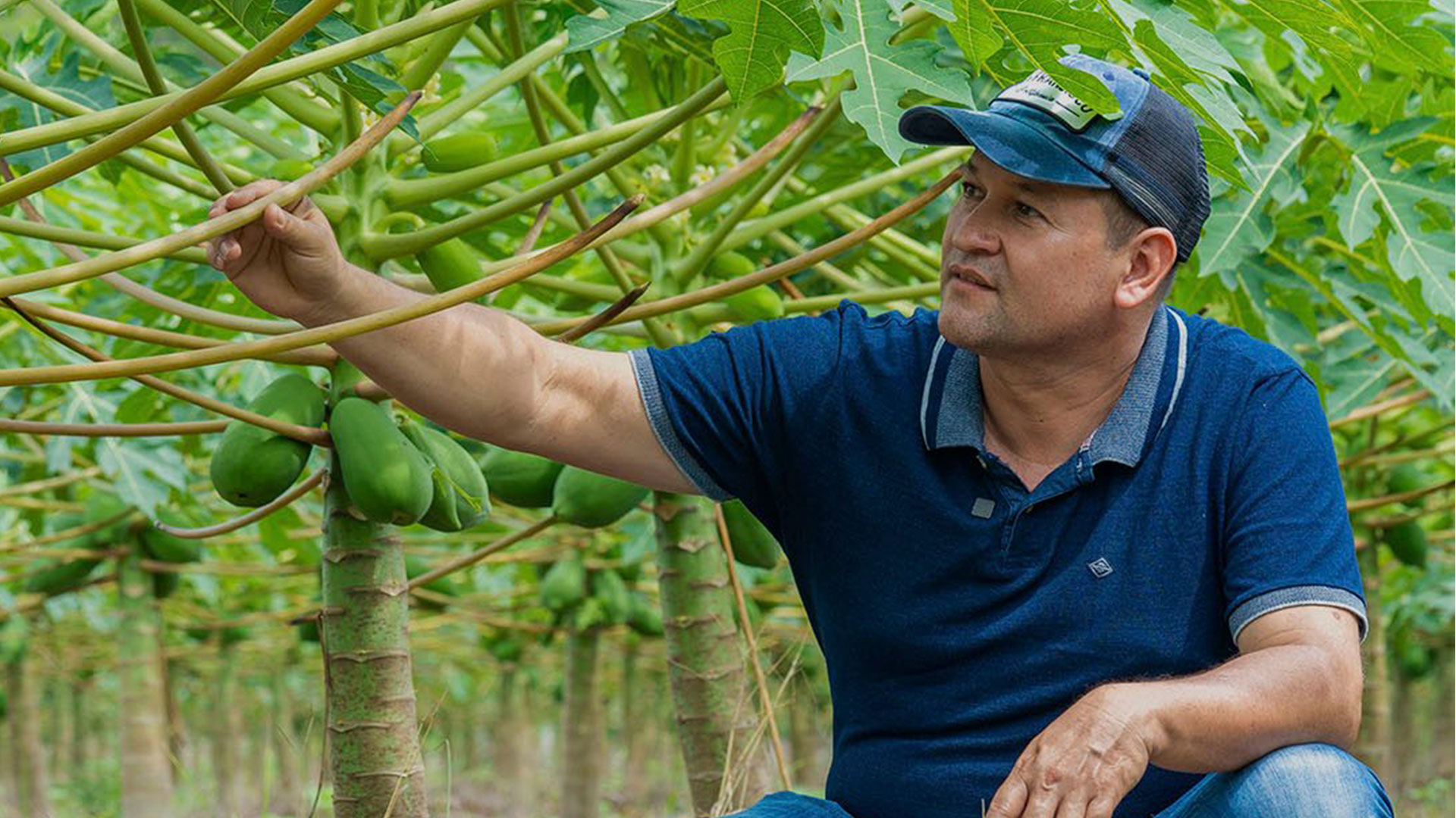 SiembraCo: tecnología en favor de la dignidad y la productividad de los agricultores colombianos ...